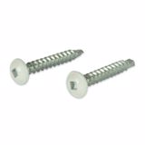 Wausau Supply | Screeneze 1-1/4 in. Steel Fasteners White - 50 per box